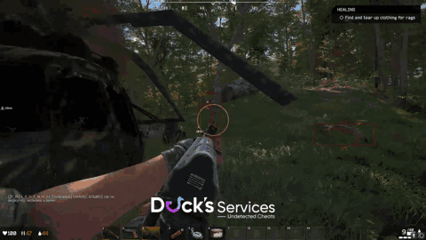 Deadside Cheats & Hacks - Aimbot, ESP, Wallhack, & More - Duck's Services